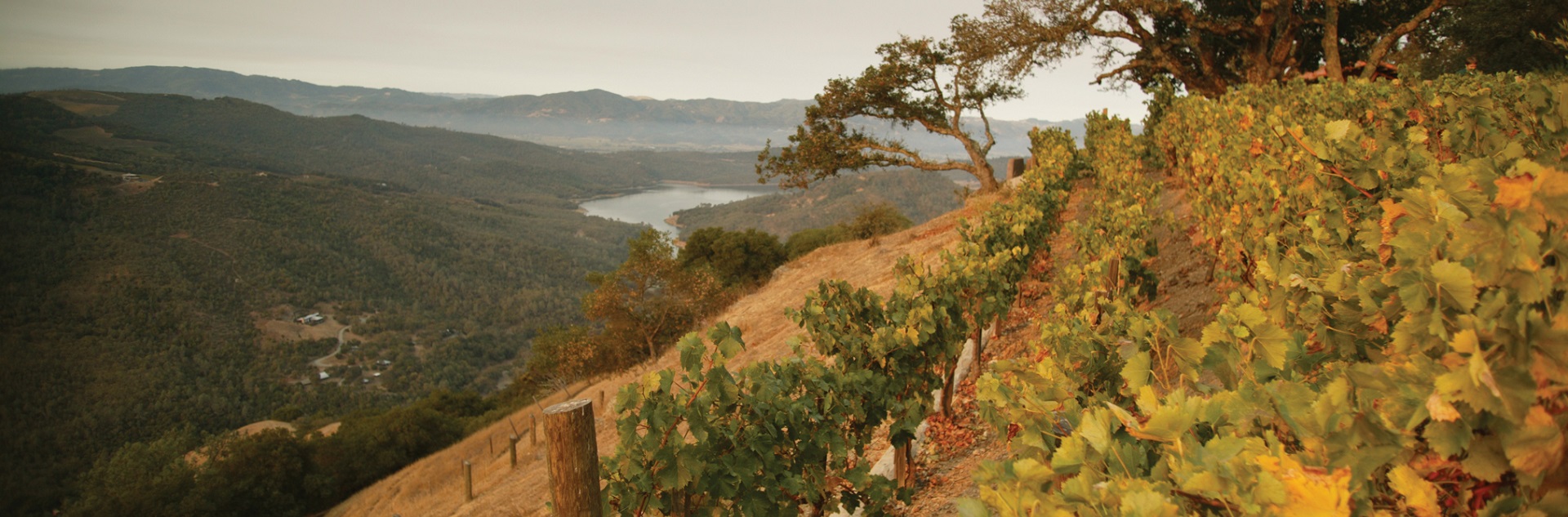 Kuleto Estate - Foley Food and Wine Society