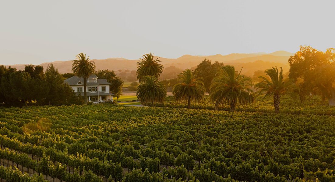 Firestone Vineyard - Foley Food and Wine Society