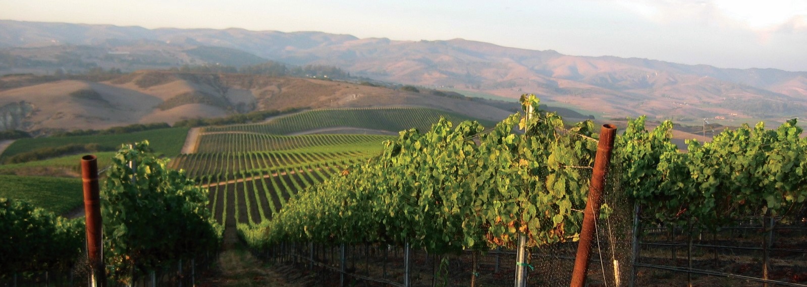 Wineries - Foley Food and Wine Society