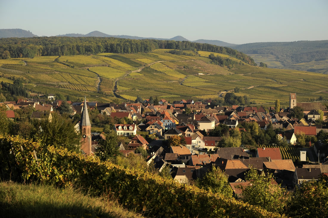 Lucien Albrecht - Foley Food and Wine Society