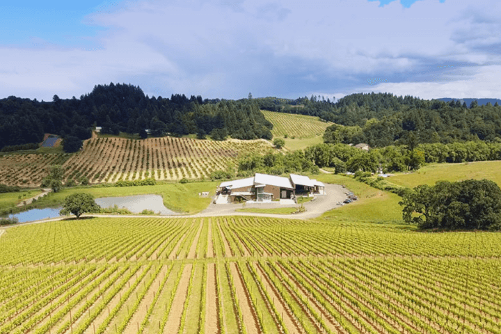 The Four Graces: Intimate, Relaxing Experience and World-Class Wines ...