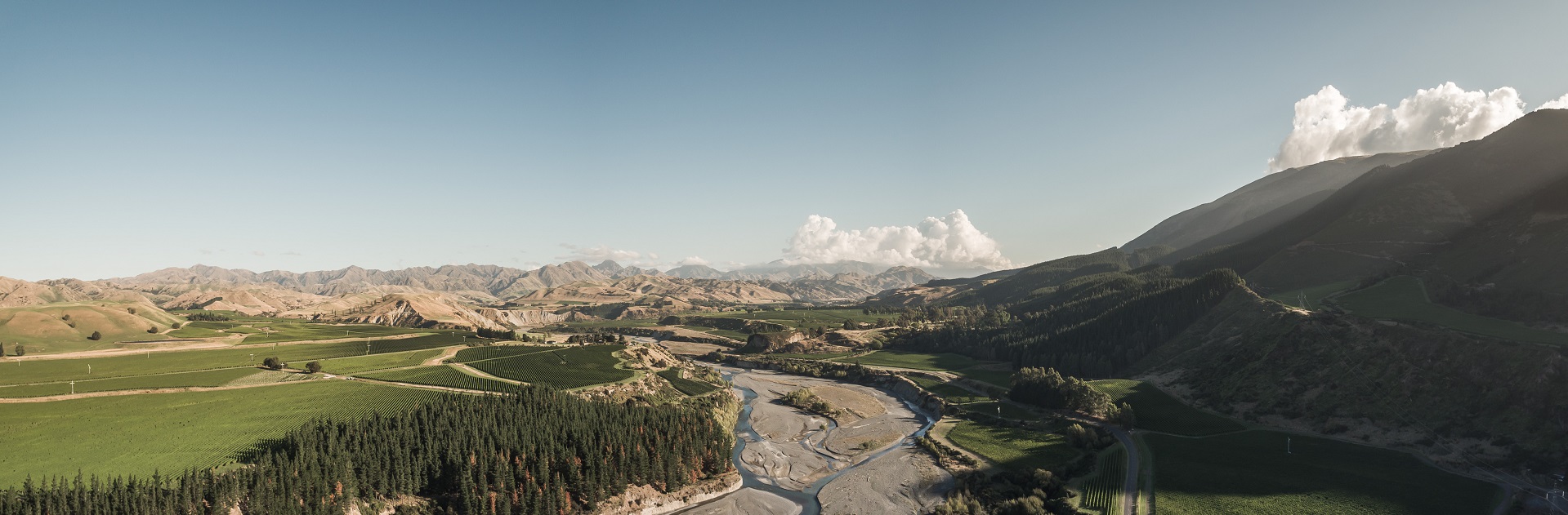 Vavasour - Foley Food and Wine Society