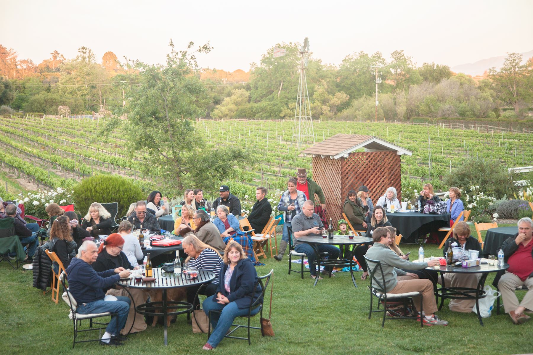 Photos - Foley Food and Wine Society