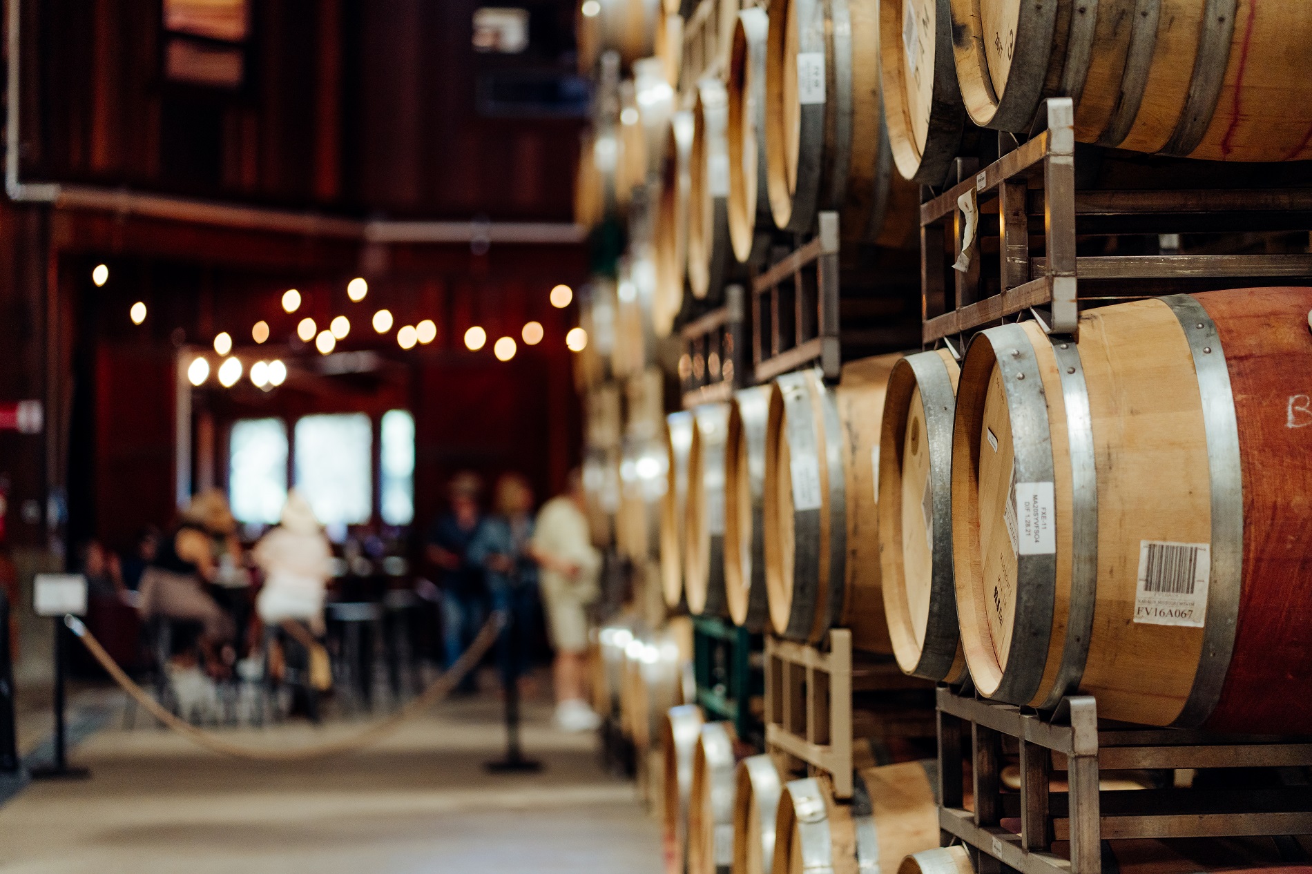 Events - Foley Food and Wine Society